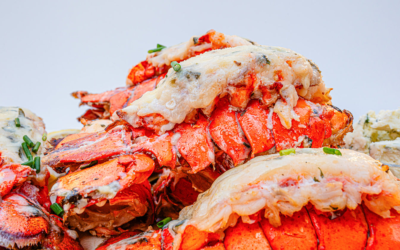Lobster Tail Box – Legal Sea Foods Online